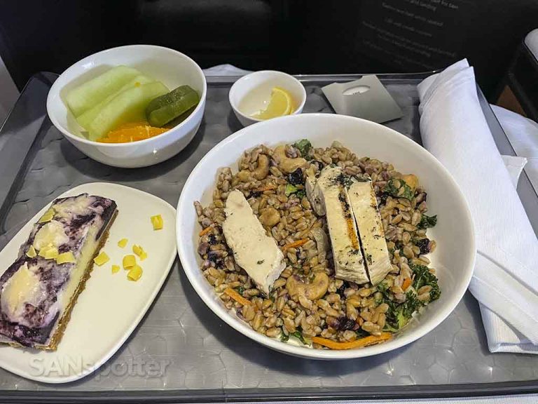 Delta One A330-900 review: a darn near perfect experience! – SANspotter