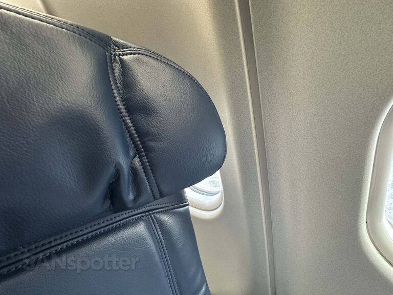 Delta A330-200 economy review (she’s a pretty good ride) – SANspotter